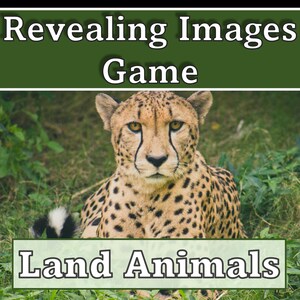Revealing Images: Land Animals - Powerpoint Game - Virtual Zoom Family ...