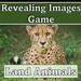 Revealing Images: Land Animals Powerpoint Game Virtual Zoom Family and ...