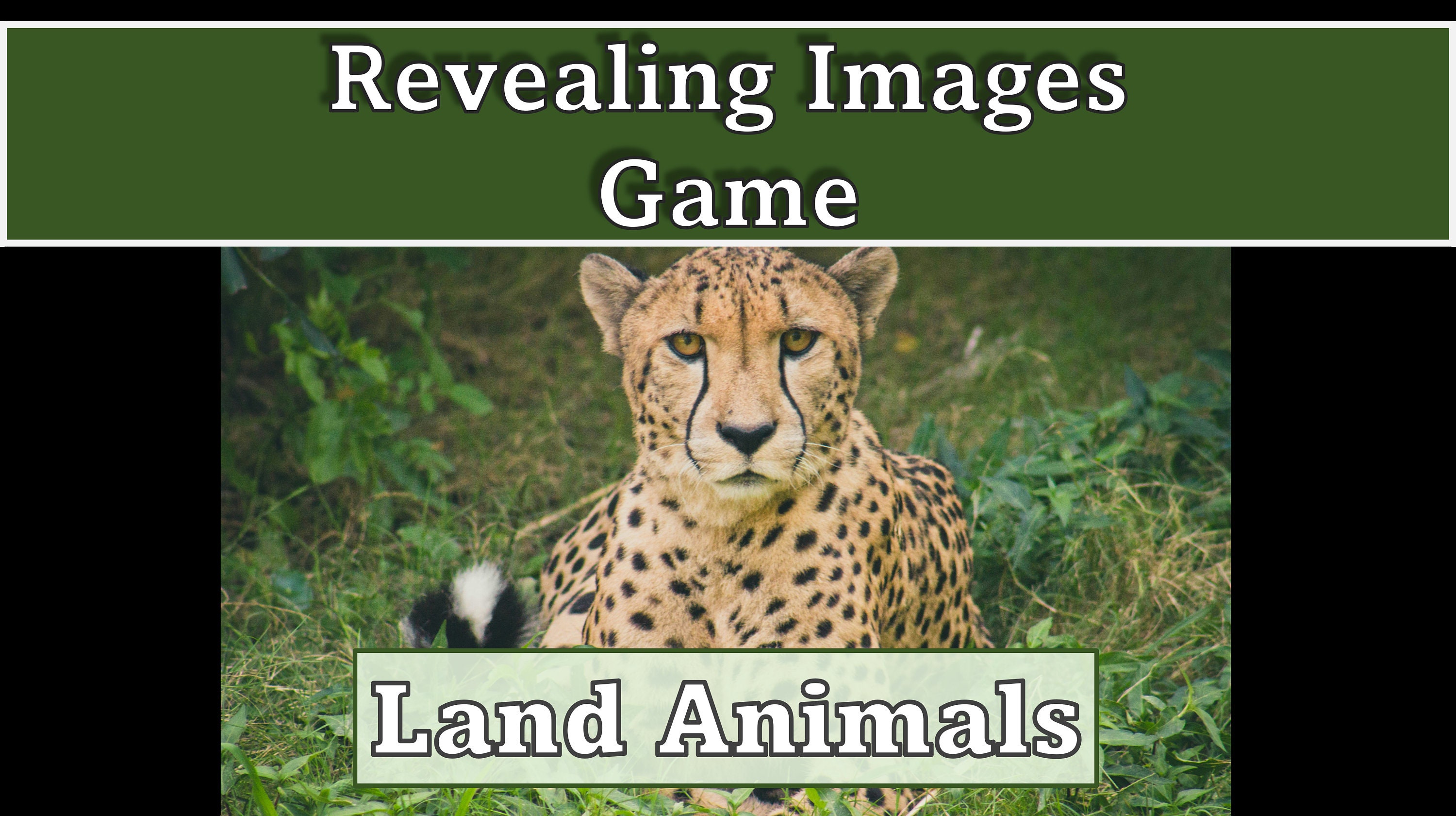 Revealing Images: Land Animals Powerpoint Game Virtual Zoom Family and ...