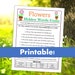 Flowers Hidden Words Game - Fun Printable Activity for Spring - Etsy