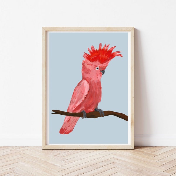 Parrot Poster - Etsy