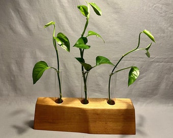 Natural Wood Propagation Station - Etsy