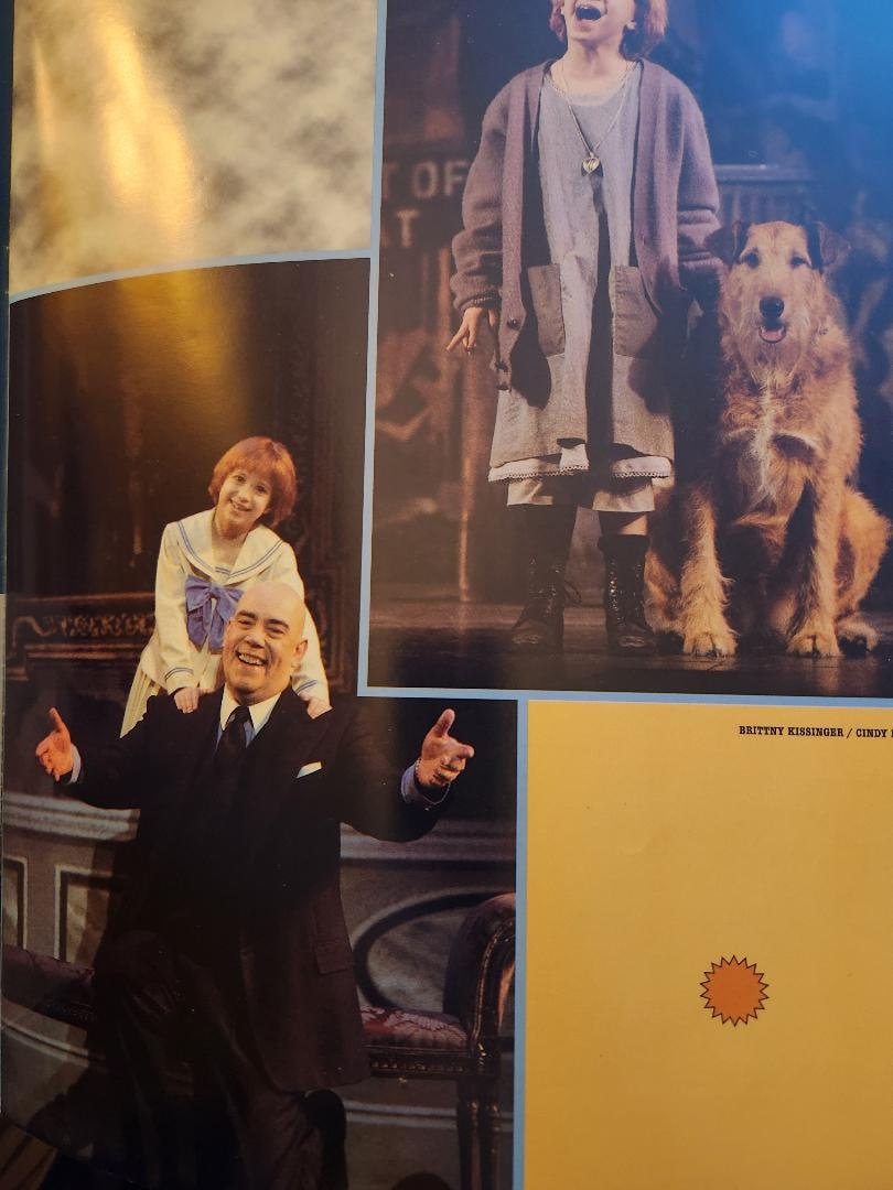 Vintage Annie the 20th Anniversary Program - Etsy