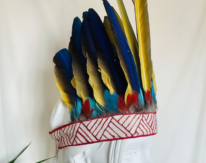 Molted Parrots Macaws Feathers Headdress Exotic Feather Headwear ...