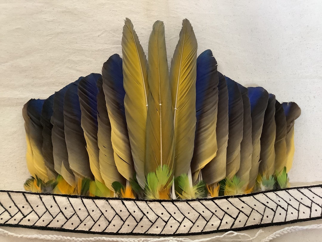 Quality Long Lasting Molted Parrots Macaws Feathers Copilli - Etsy