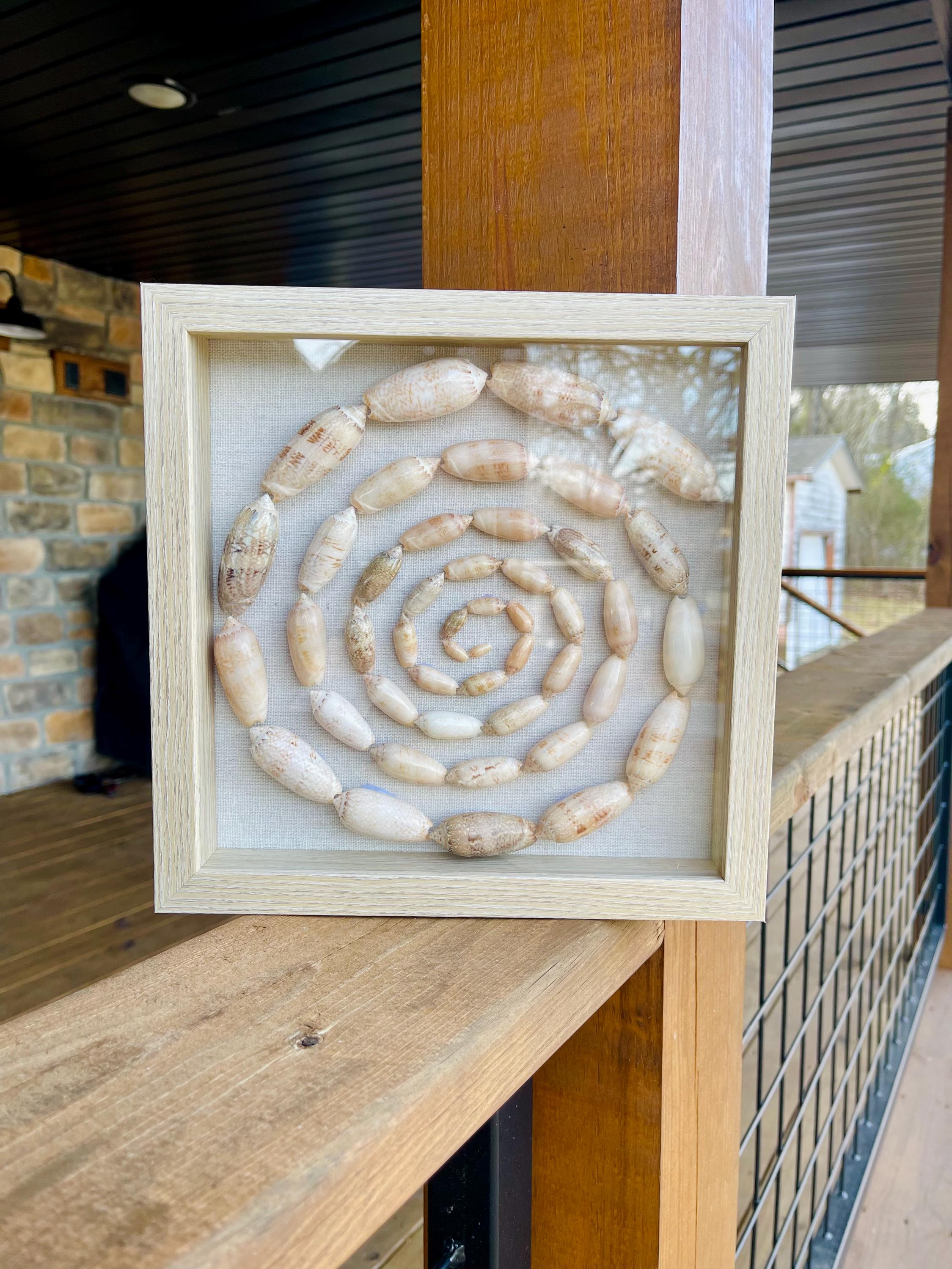 Handmade Olive Shell Art Shadow Box Coastal Shell Wall Decor - Etsy