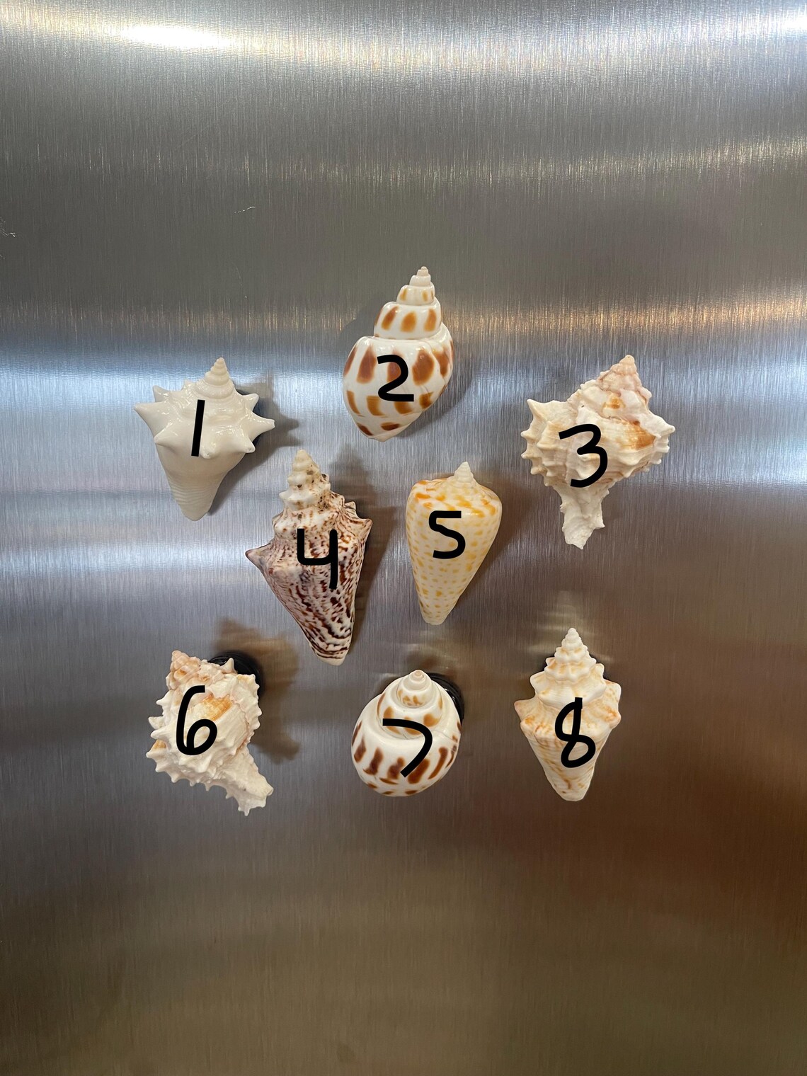 Handmade Seashell Magnets Coastal Beach Decor Ocean Fridge Magnet ...