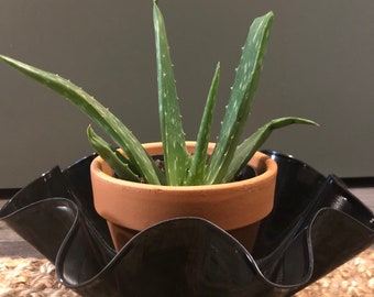 Vinyl Record Plant Pot - Etsy