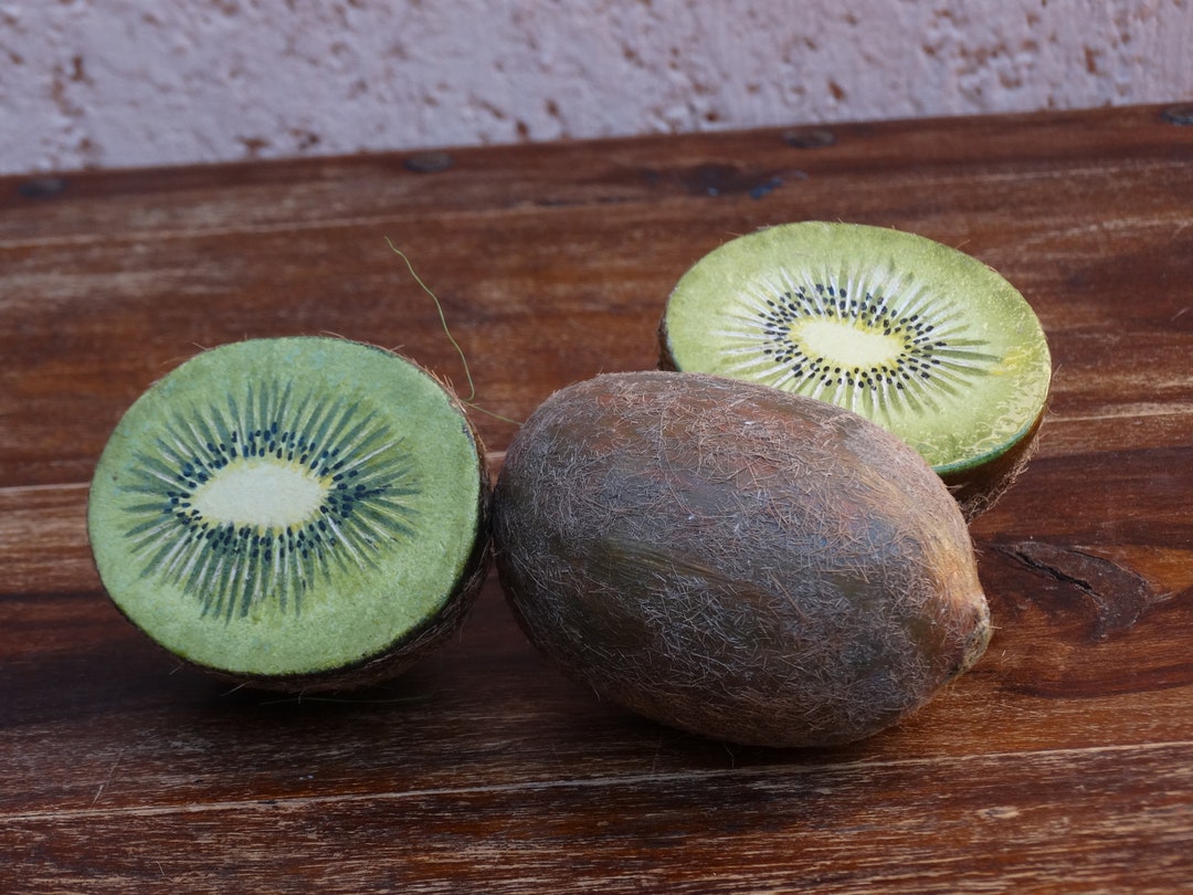 Ceramic Kiwi Handmade Realistic (1 Pc) Natural Size, Photo Prop, Home ...
