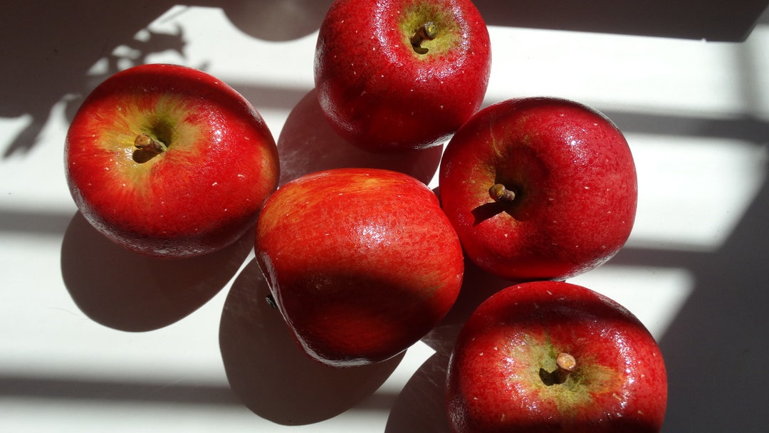 Ceramic Apple ( 1 Piece) Red Ceramic Apple for Decoration Natural Size ...