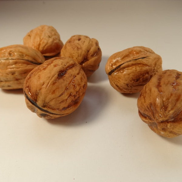Ceramic Walnut - Etsy