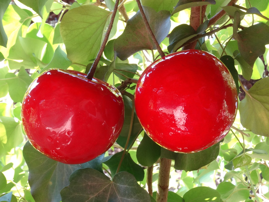 Ceramic Big Tweens Cheeries Ceramic Large Cherries Handmade Cherries ...