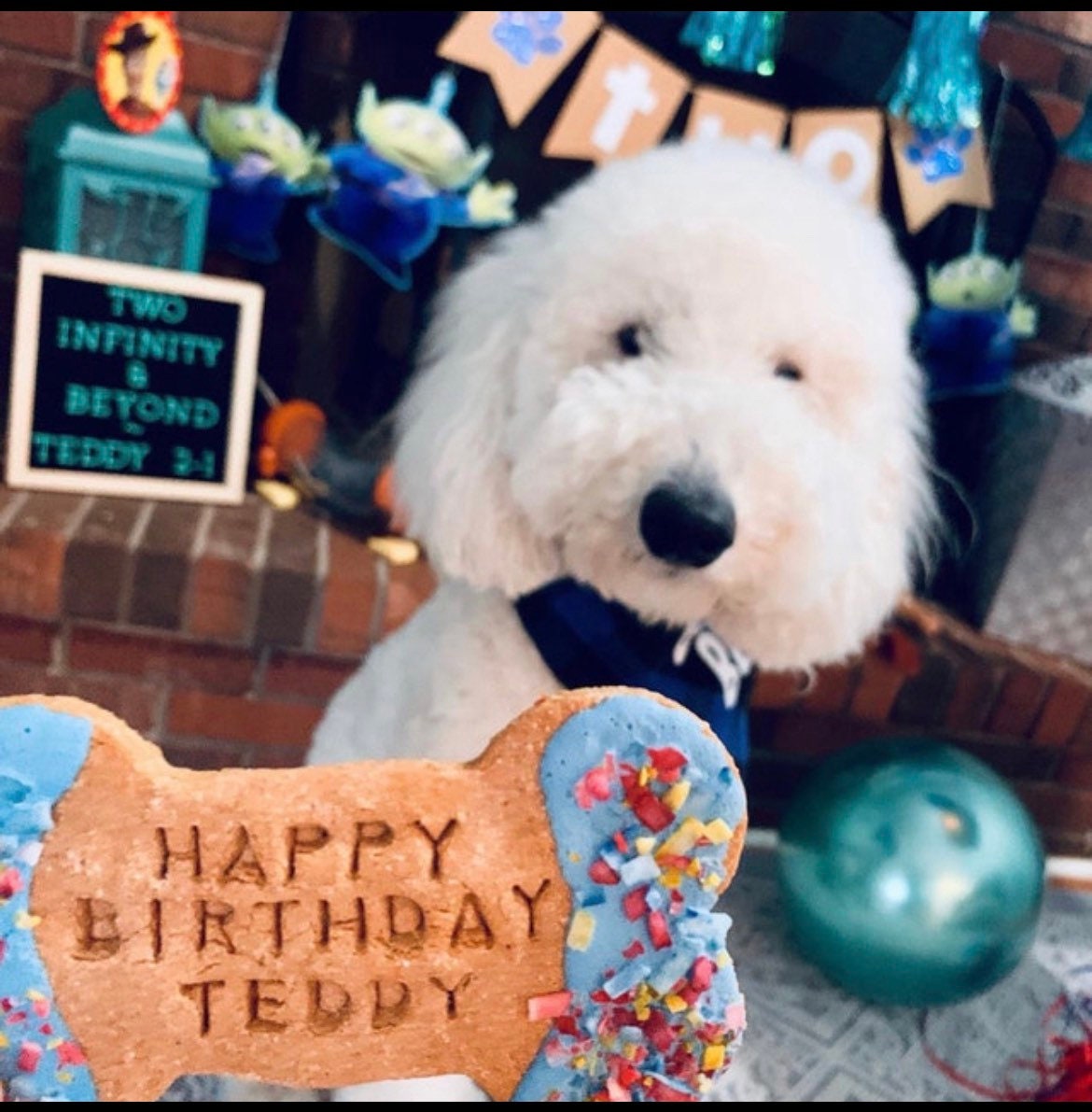 Large Personalized Bone Happy Birthday Happy Push Day - Etsy