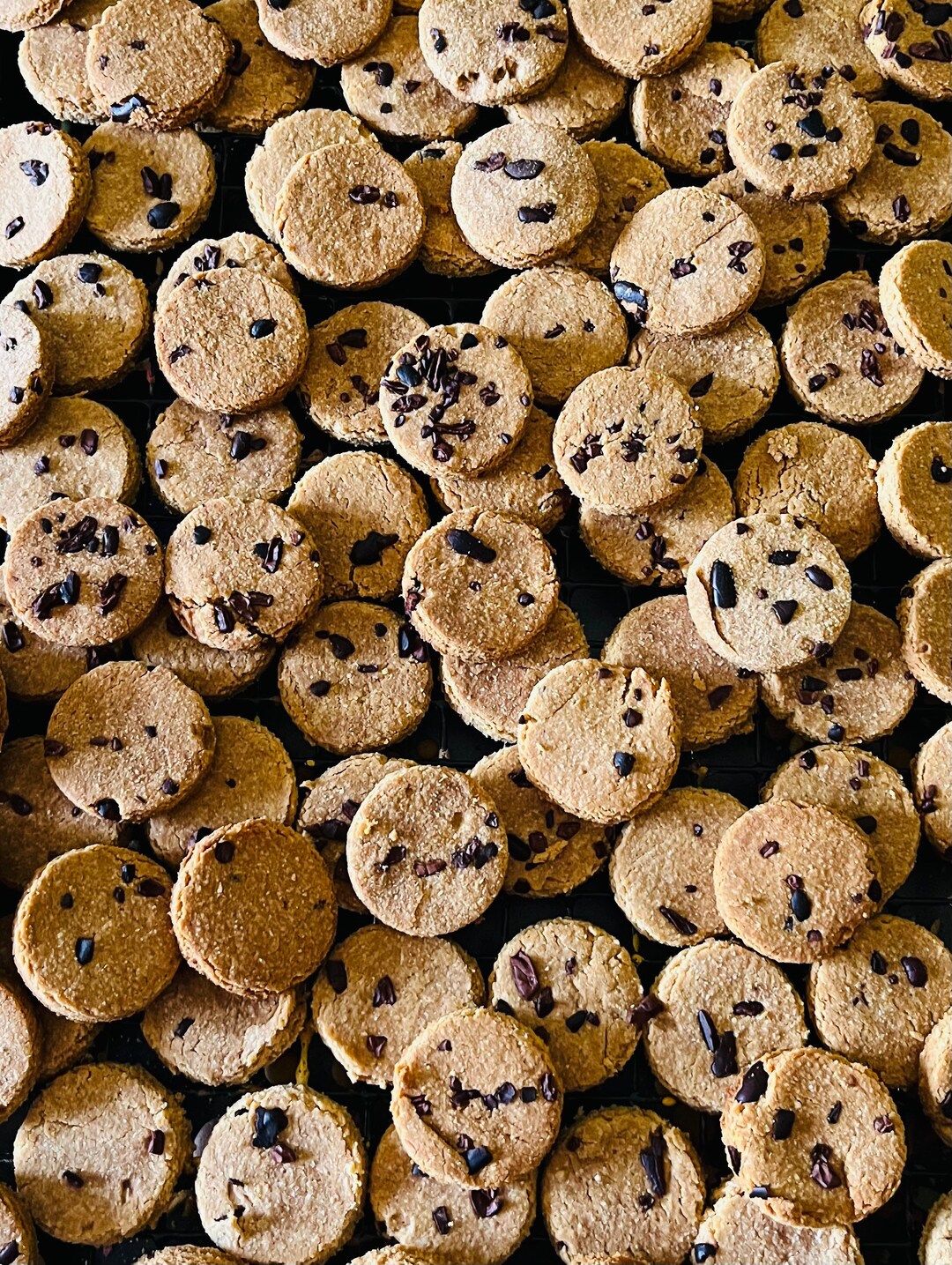 Dog Treats, Carob Crisps, Dog Treat Bar, Dog Moms, All Natural Grain ...