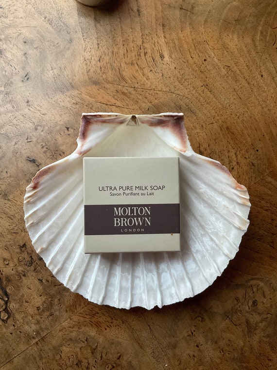 Large scallop shell soap - Gem