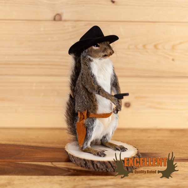 TAXIDERMY SQUIRREL - Etsy