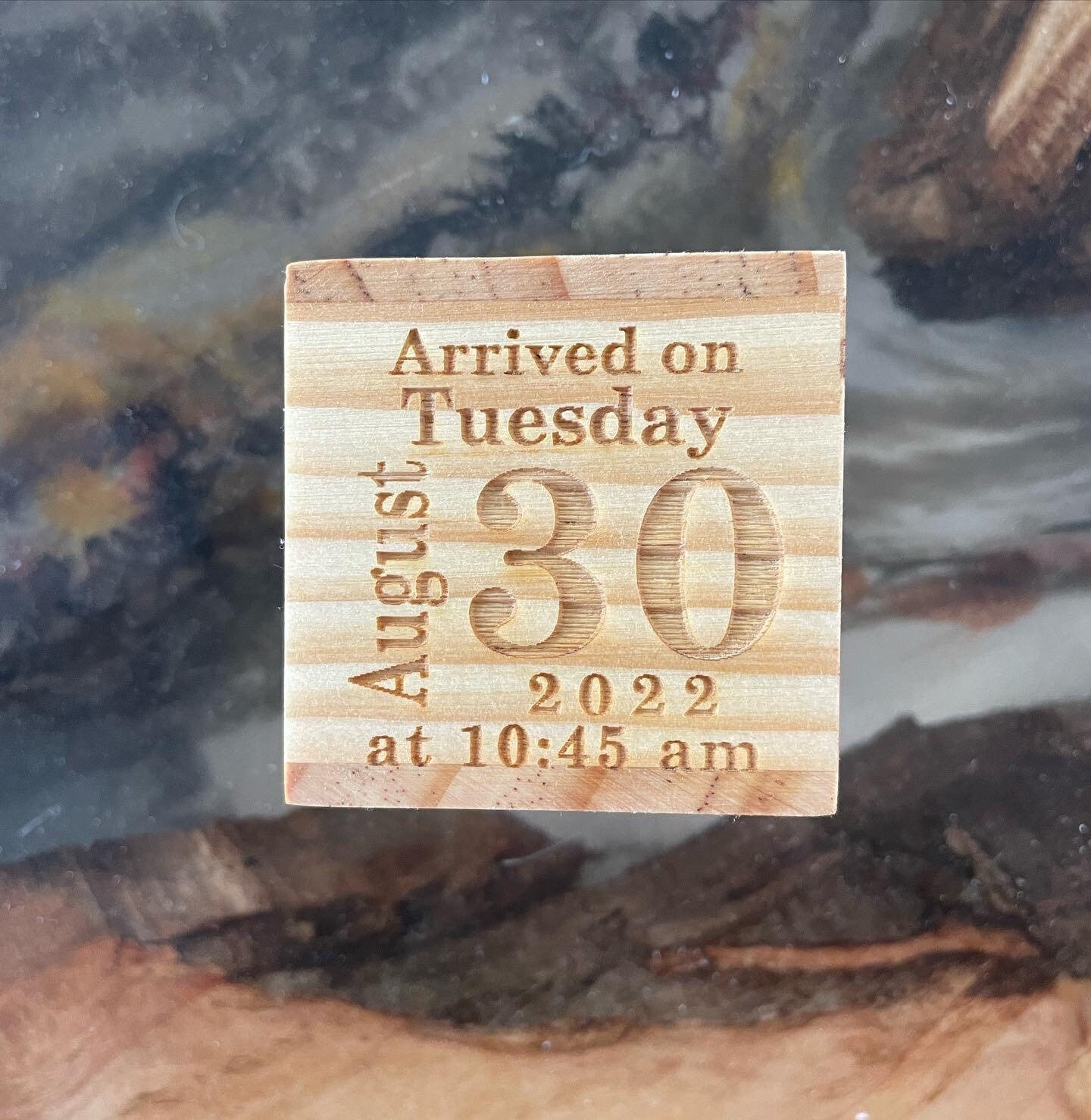 Personalized Baby Block Baby Birth Announcement Block - Etsy