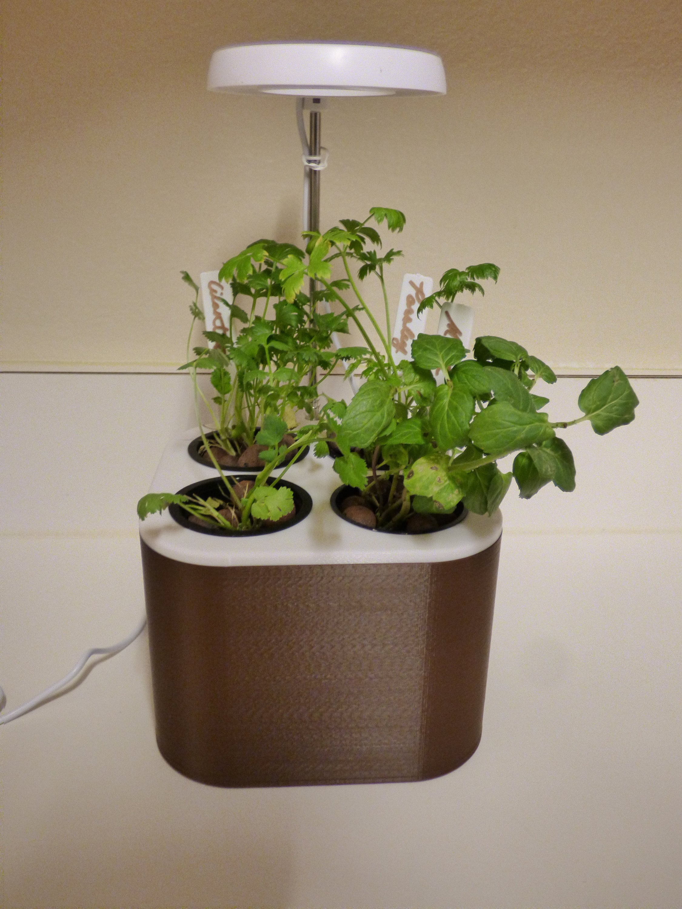 Countertop Hydro Garden - Etsy