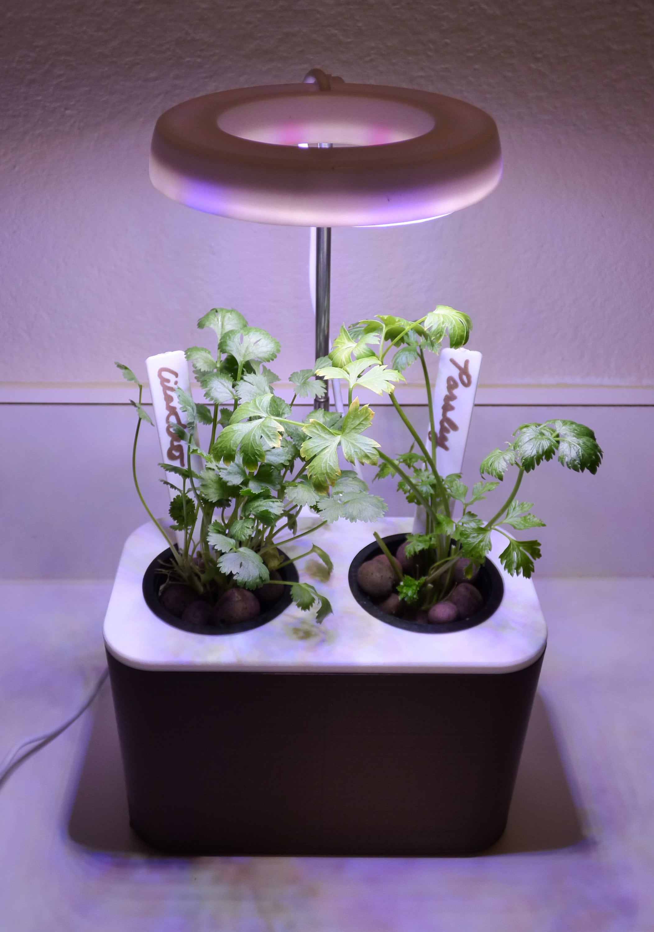 Countertop Hydro Garden - Etsy
