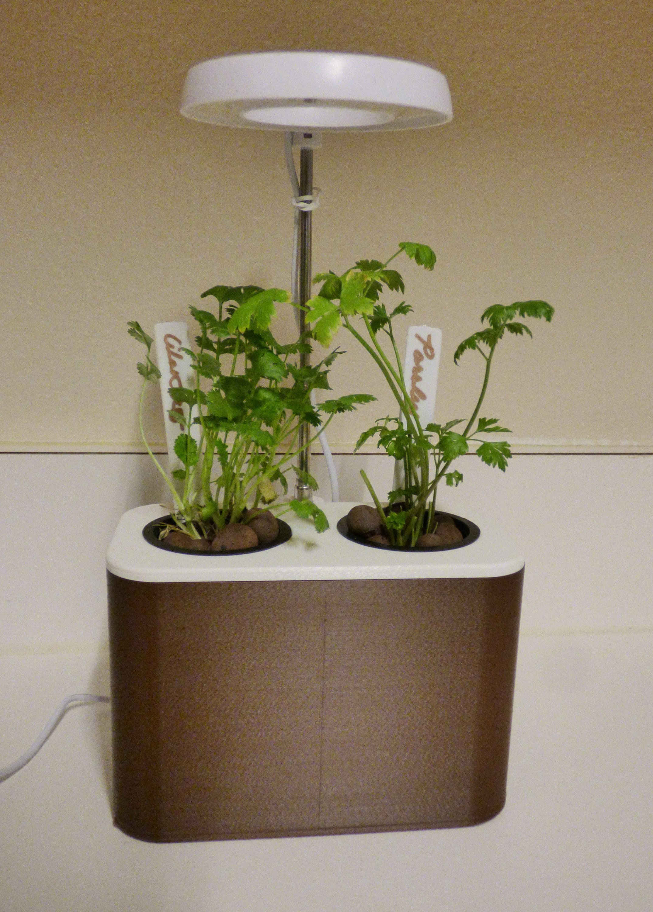 Countertop Hydro Garden - Etsy