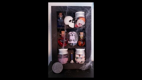 Miniature Mad Scientist Lab Shelf | Etsy