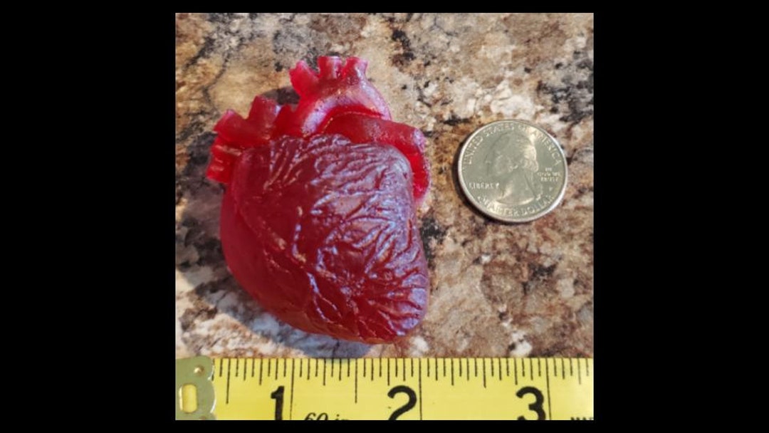 Rare Earth Magnet Bloody Human Heart - Etsy