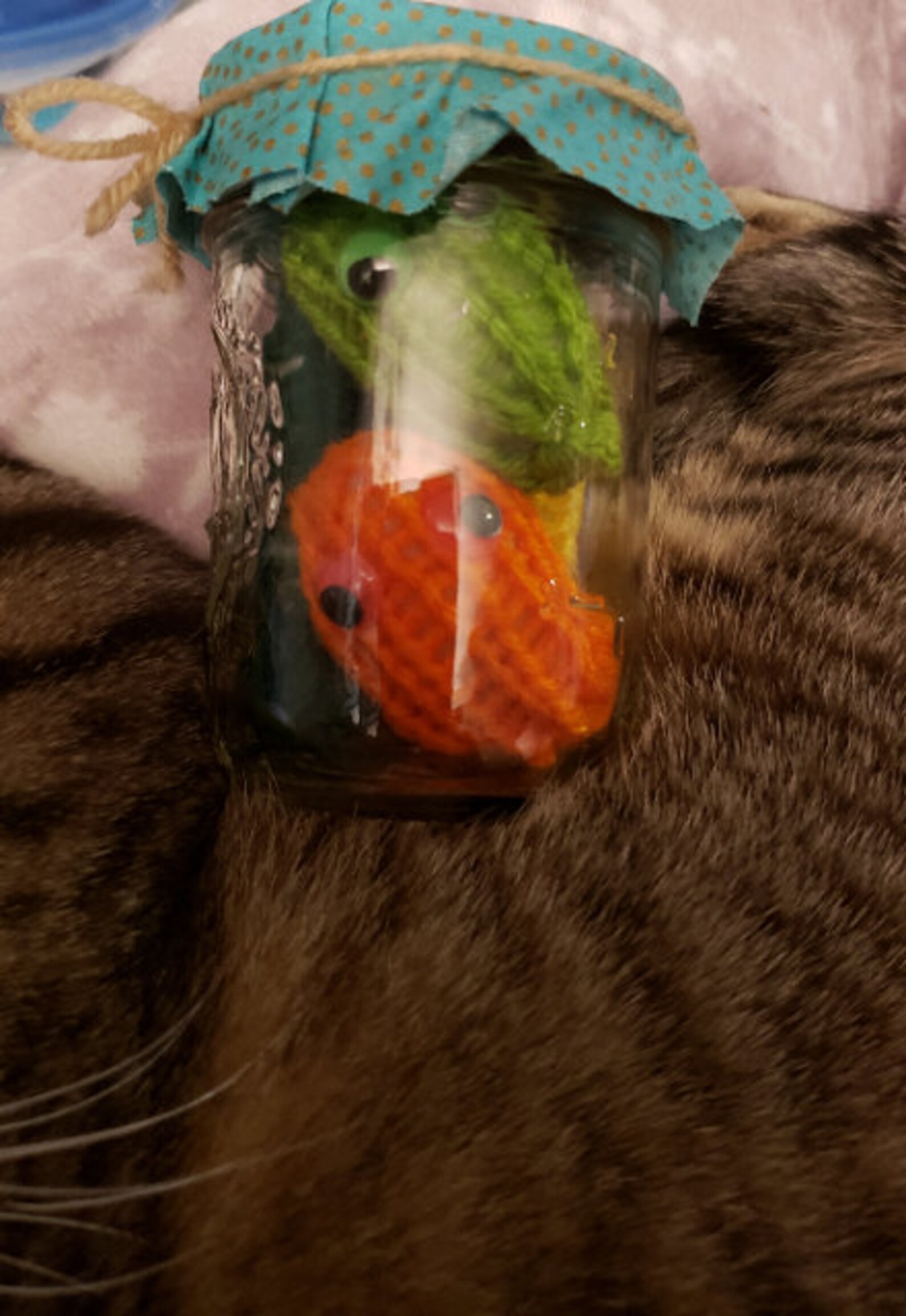 Pickle Puss Cat Nip Pickled Peppers in a Jar - Etsy