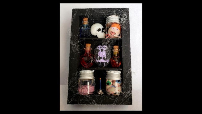 Miniature Mad Scientist Lab Shelf - Etsy