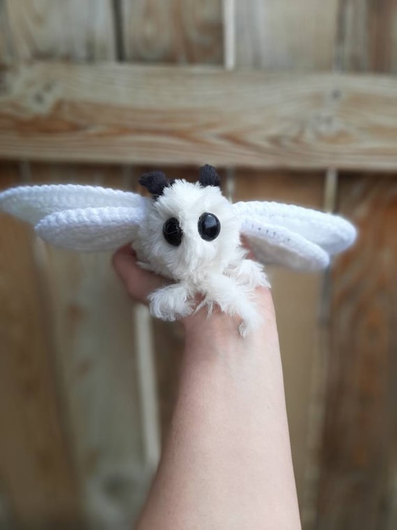 Are Poodle Of Moths Real