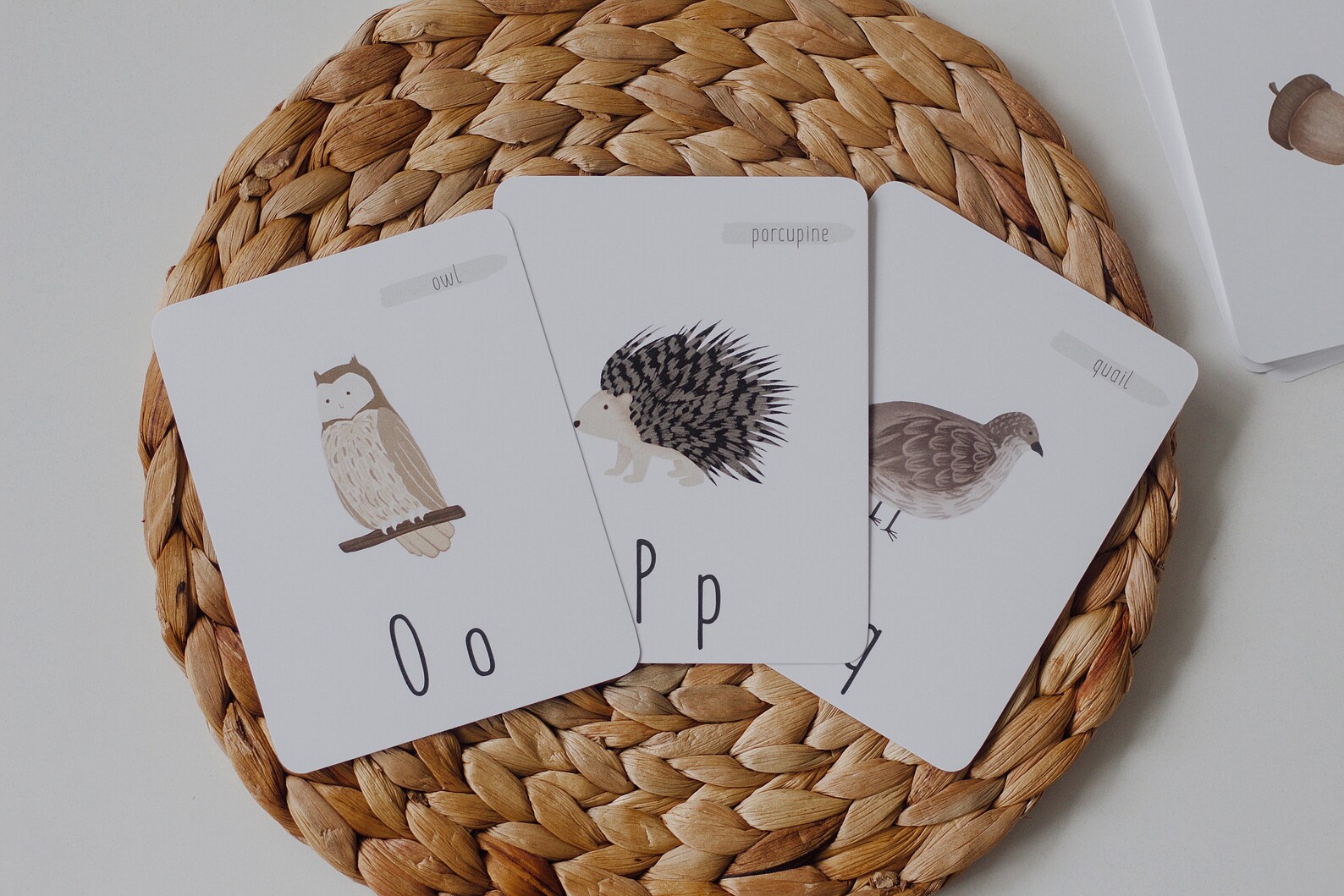 Nature Alphabet Cards| ABC Flashcards, Alphabet Flashcards, Nursery ...