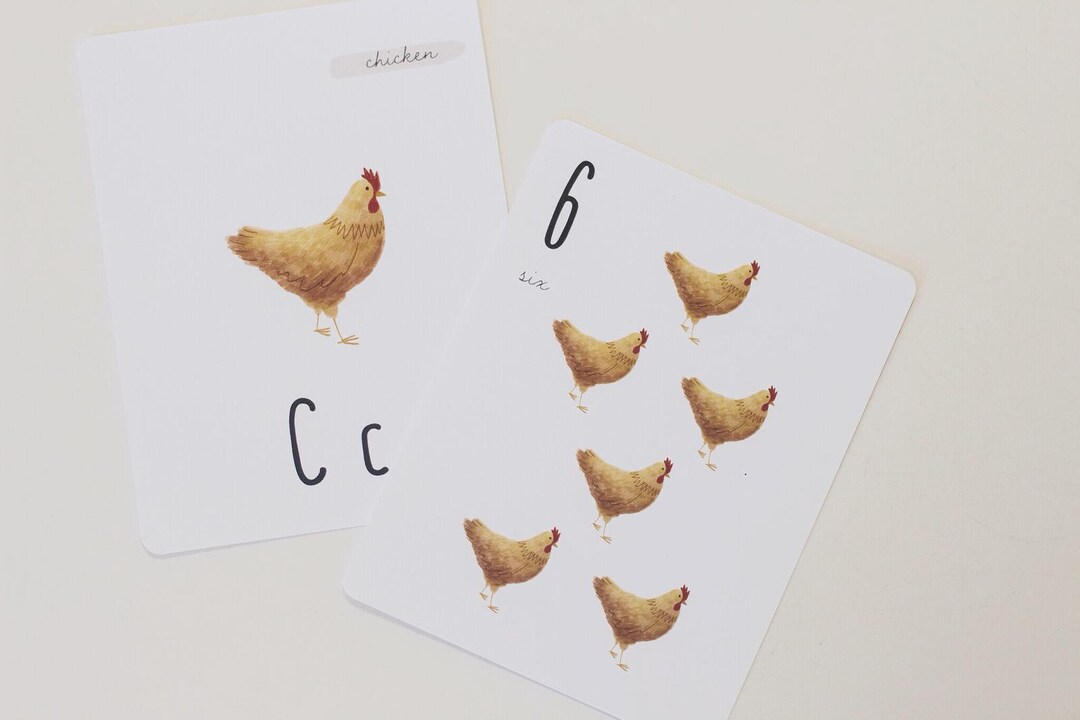 Animal Alphabet + Animal Number Card Set | ABC Flashcards, Alphabet ...
