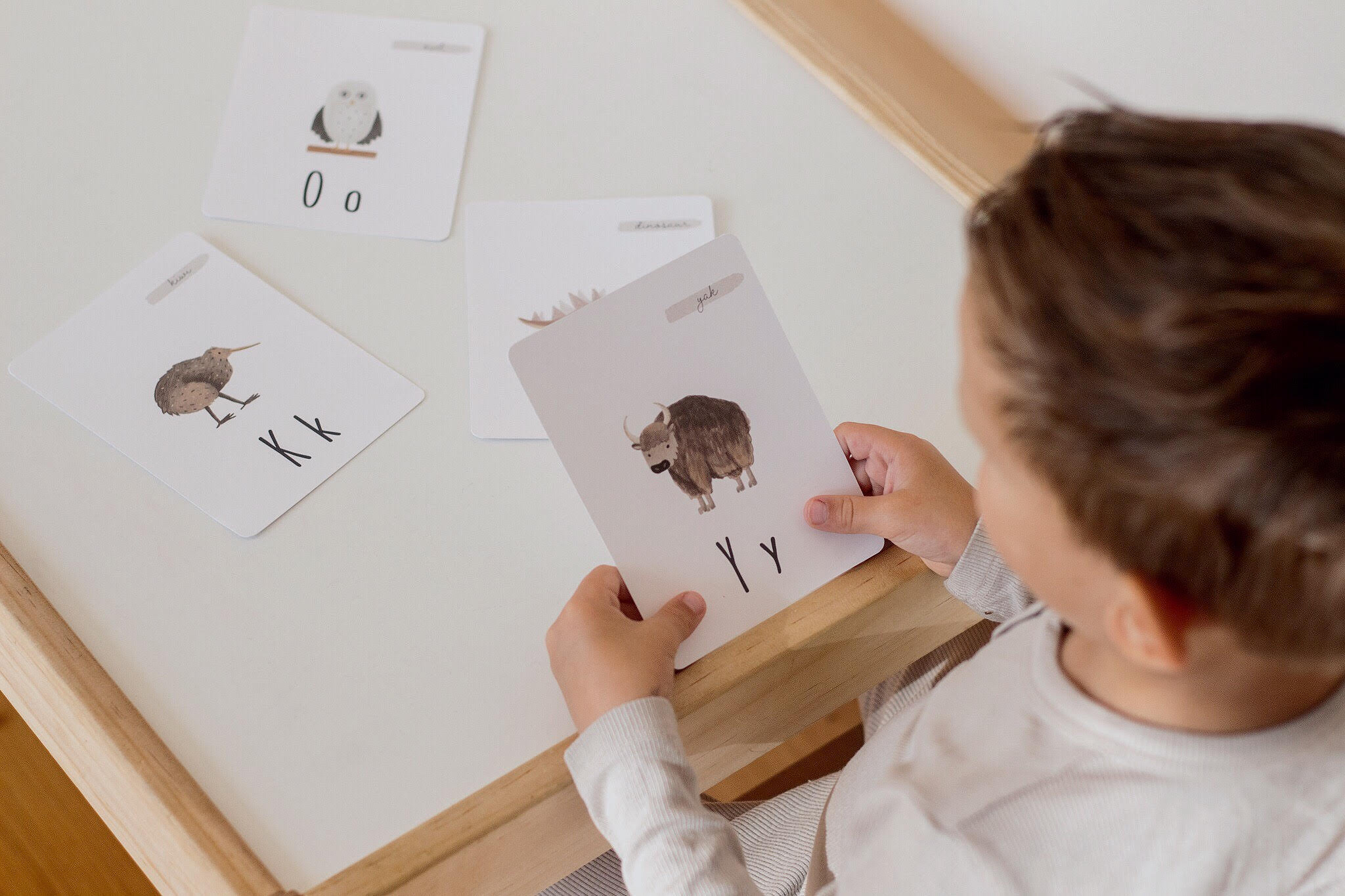 Animal Alphabet Cards ABC Flashcards Montessori Alphabet - Etsy Canada