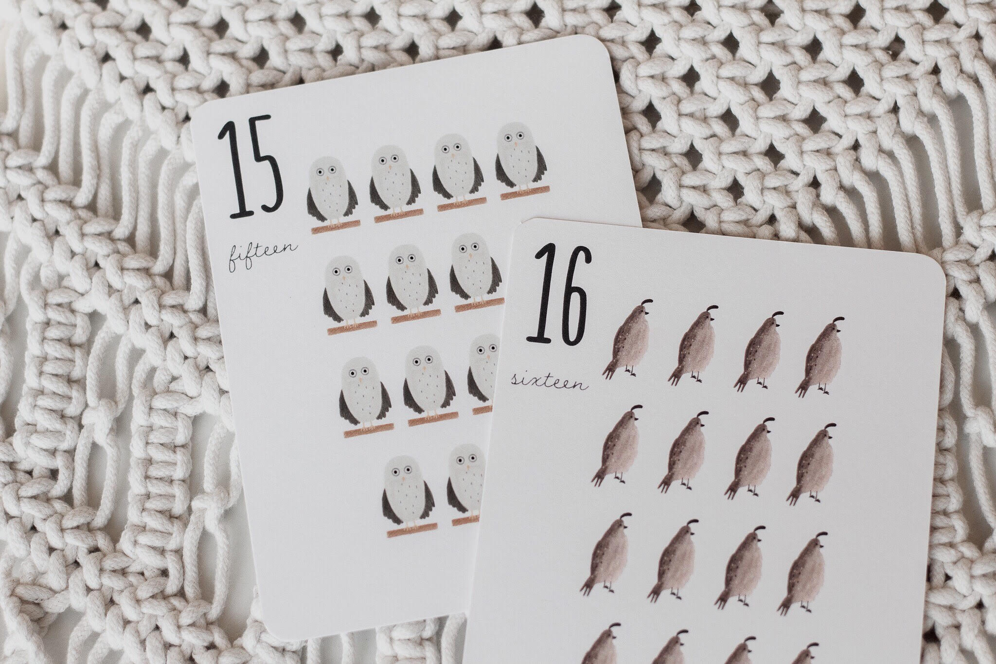 Animal Number Cards ABC Flashcards Alphabet Flashcards | Etsy