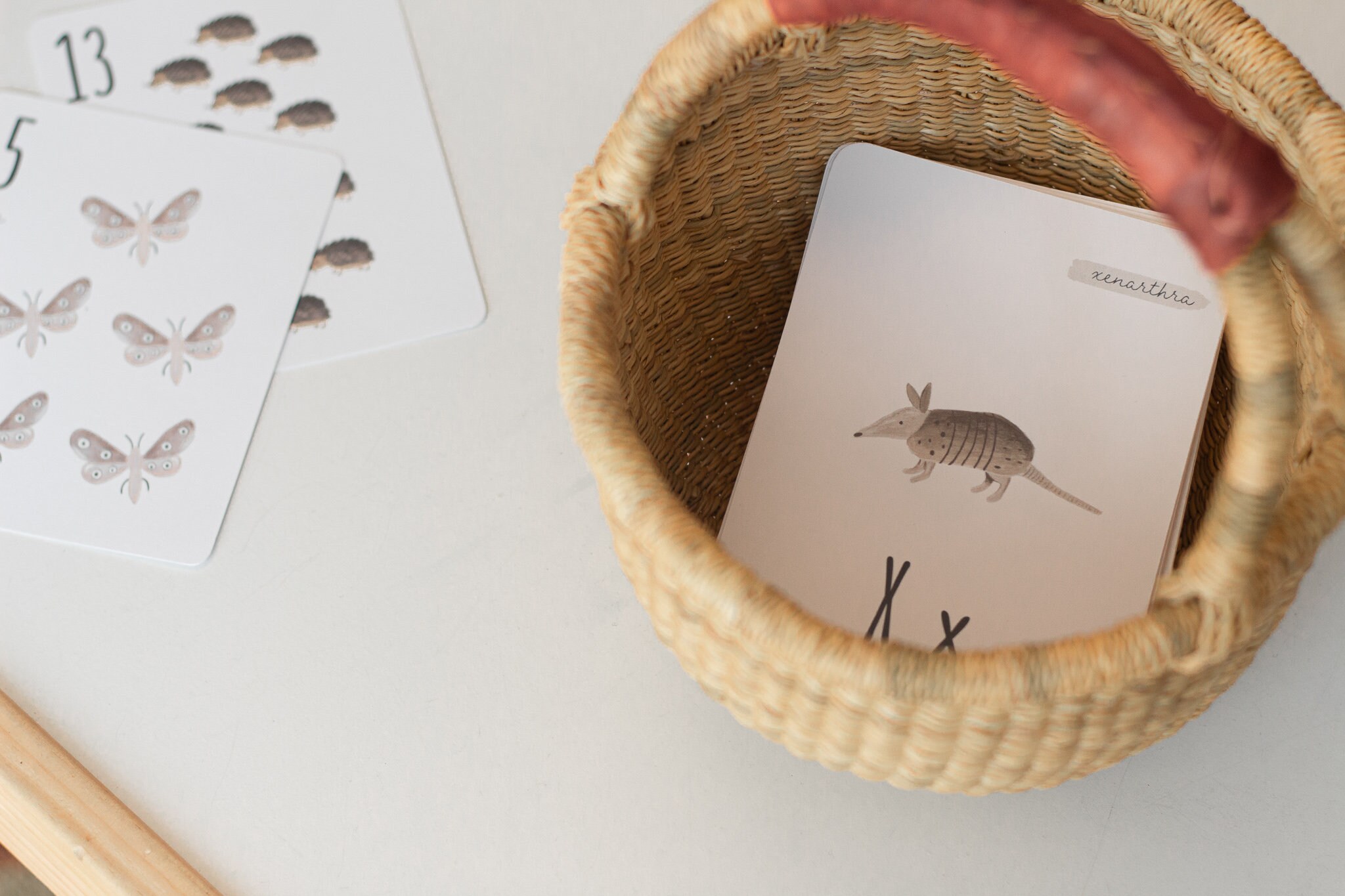 Animal Alphabet + Animal Number Card Set | ABC Flashcards, Alphabet ...