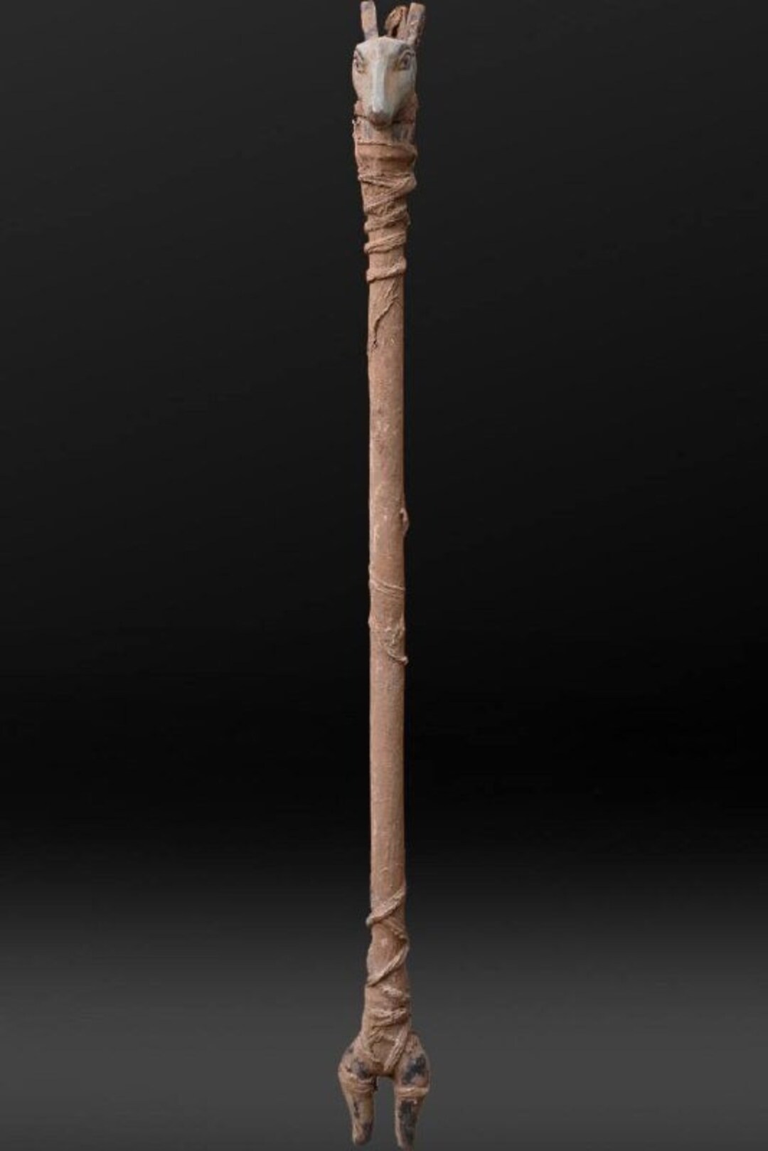 Amazing Was Stick-scepter-symbol of Strength,sovereignty,stability,good ...