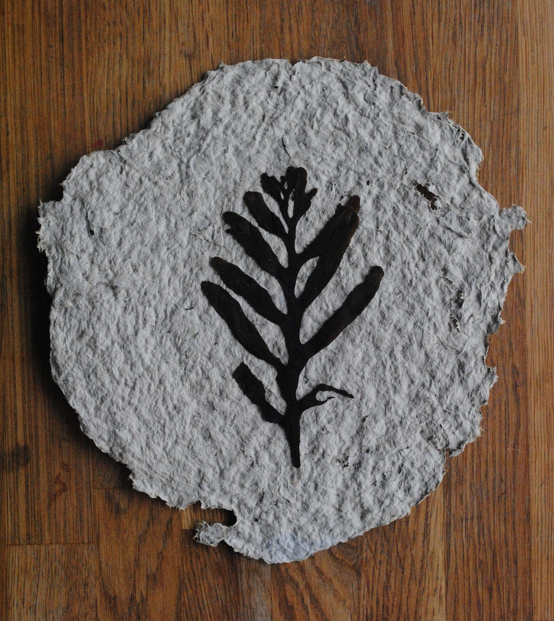 Genuine Pressed Seaweed/algae on Handmade Paper Organic Wall - Etsy