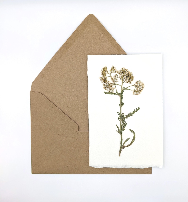 Pressed Flower Stationery Set - Variety Pack Handmade Floral Blank Note ...