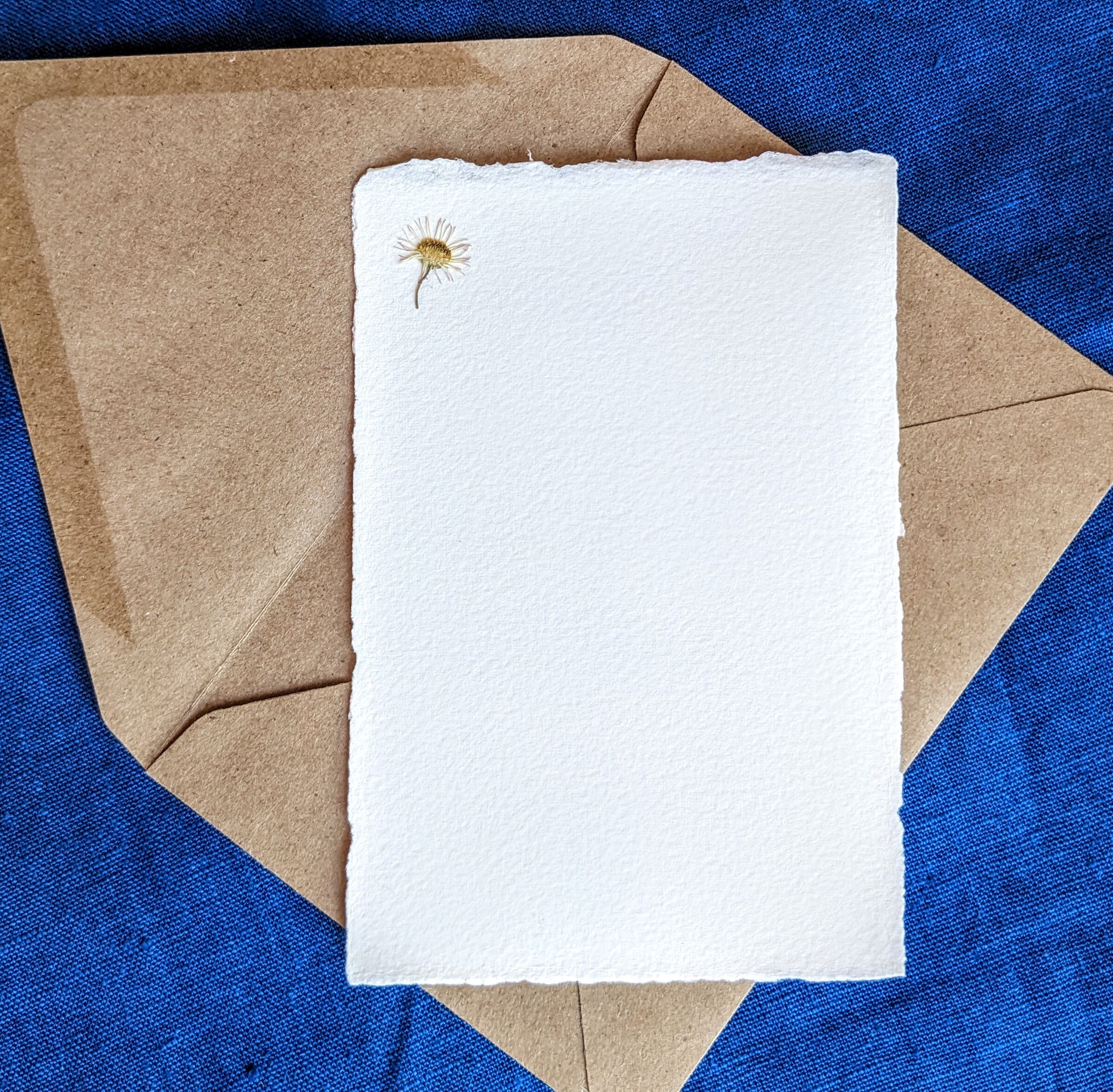 Santa Barbara Daisy Pressed Flower Art Stationery Set Blank Cards With ...