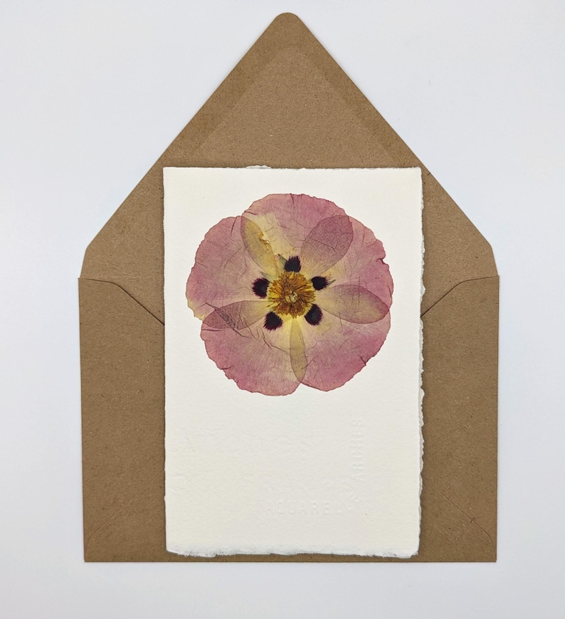Pressed Flower Stationery Set - Variety Pack Handmade Floral Blank Note ...