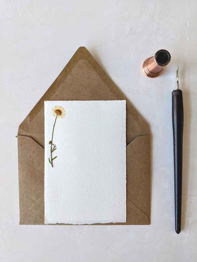 Santa Barbara Daisy Pressed Flower Art Stationery Set Blank Cards With ...