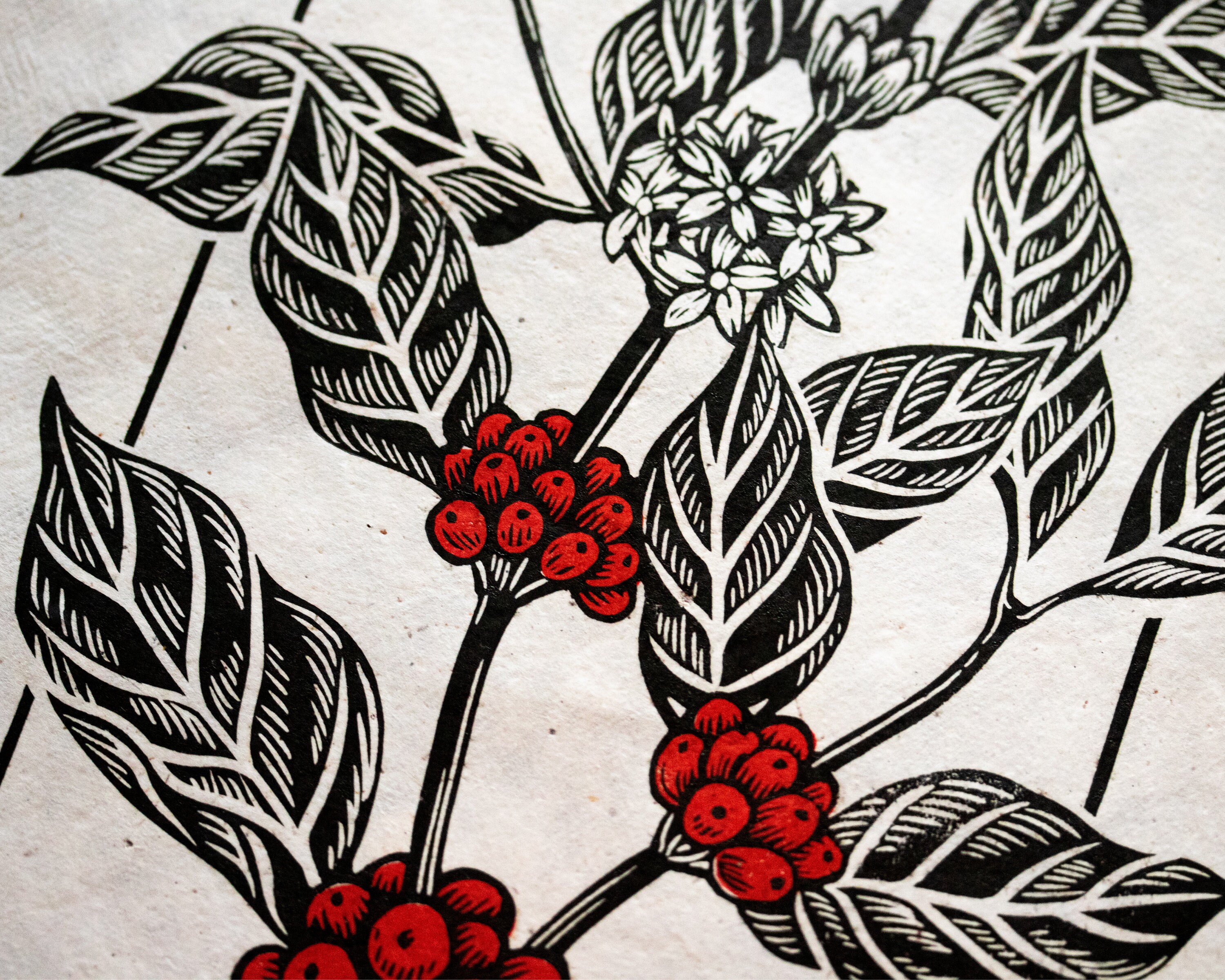 Brew Berry // limited edition — Esteldor