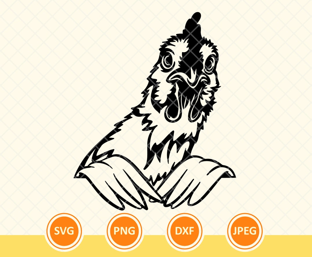 Funny Chicken Svg, Chicken Stencil Svg, Chicken Tshirt Svg, Cock Svg ...