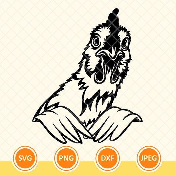 Chicken Svg - Etsy