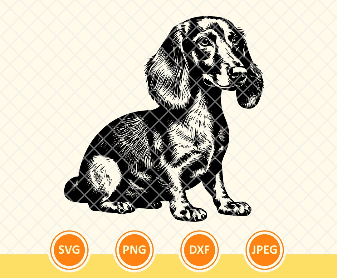 Dachshund Svg, Dachshund Portrait Svg, Dachshund Lover, Dachshund Decal ...