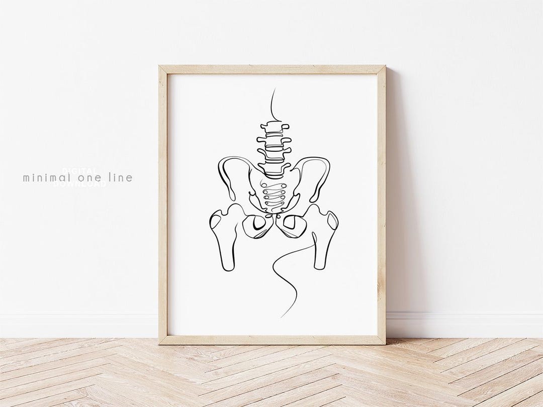 Pelvis Line Art Drawing, Sacrum Sketch, Chiropractic Art Print, Minimal ...