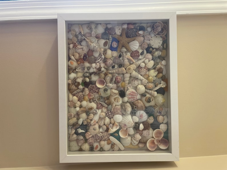Shell Shadow Box - Etsy