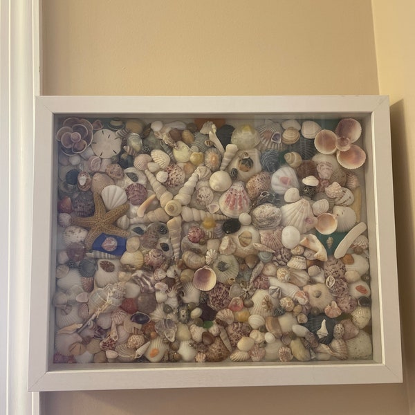 Shell Shadow Box - Etsy