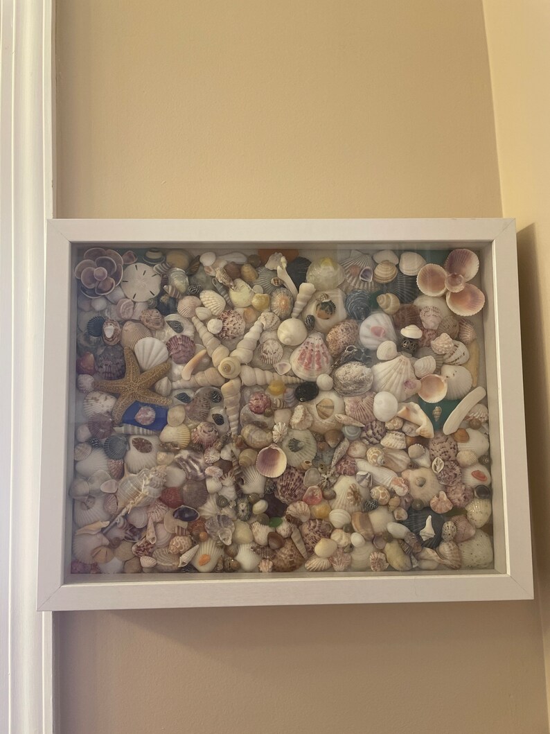 Shell Shadow Box - Etsy