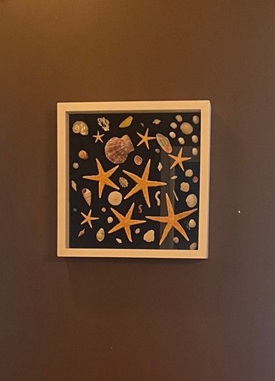 Shell Shadow Box - Etsy