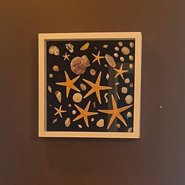 Seashell Shadow Box - Etsy